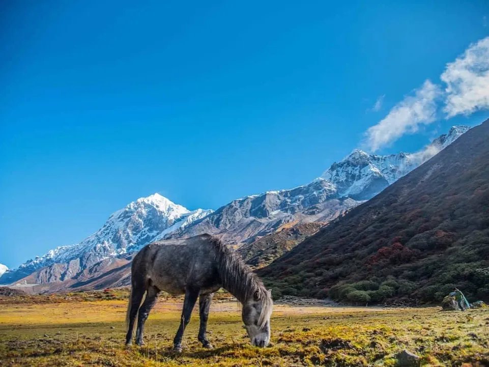 TravelGangtok Holidays