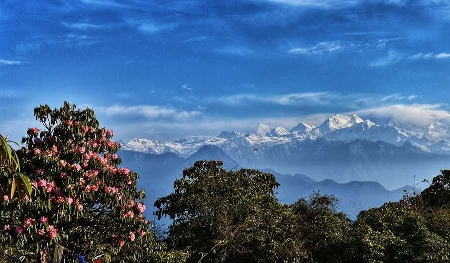 TravelGangtok Holidays